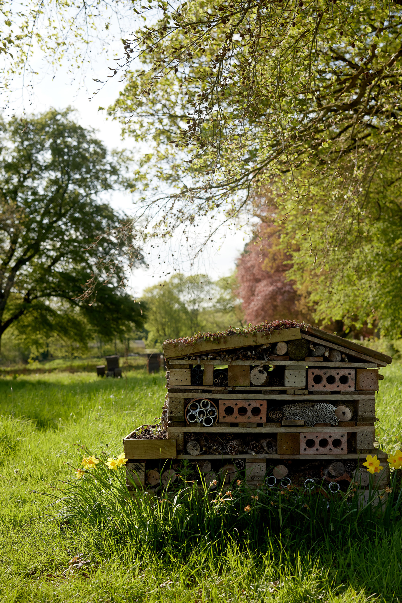 Our Estate in Somerset Countryside | Homewood Hotel & Spa